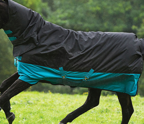 PADDOCK MIO HORSEWARE TURNOUT RUG 200 gr ALL IN ONE - MySelleria